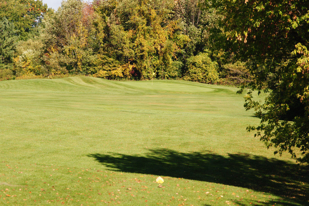 Maple Hole-by-Hole